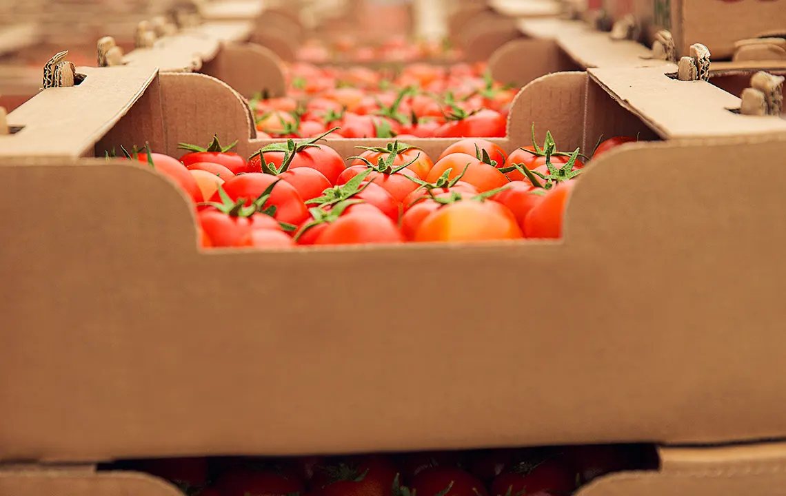 Modern Wholesale Food Distribution Technology - K&M Foods Inc.